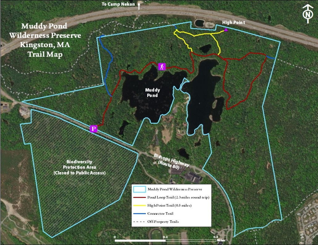 Muddy Pond Wilderness Preserve - Northeast Wilderness Trust