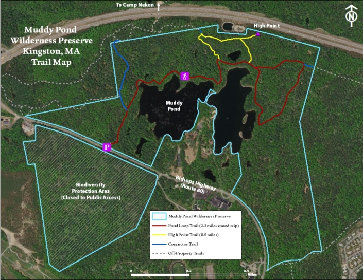 Muddy Pond Wilderness Preserve - Northeast Wilderness Trust