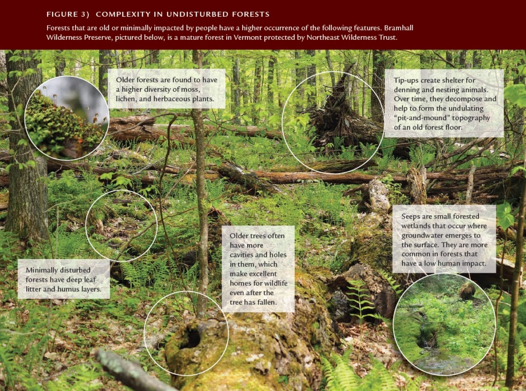 Wild Works 2: Biodiversity - Northeast Wilderness Trust