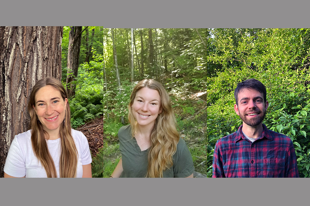 Hannah Sorenson Good Wife