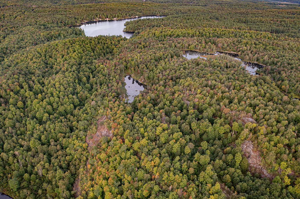 25,000 Wild Acres Protected by 2025...Complete!