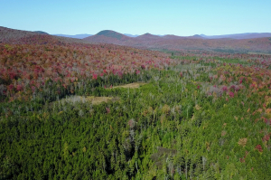 West Mountain Easement - New Hampshire