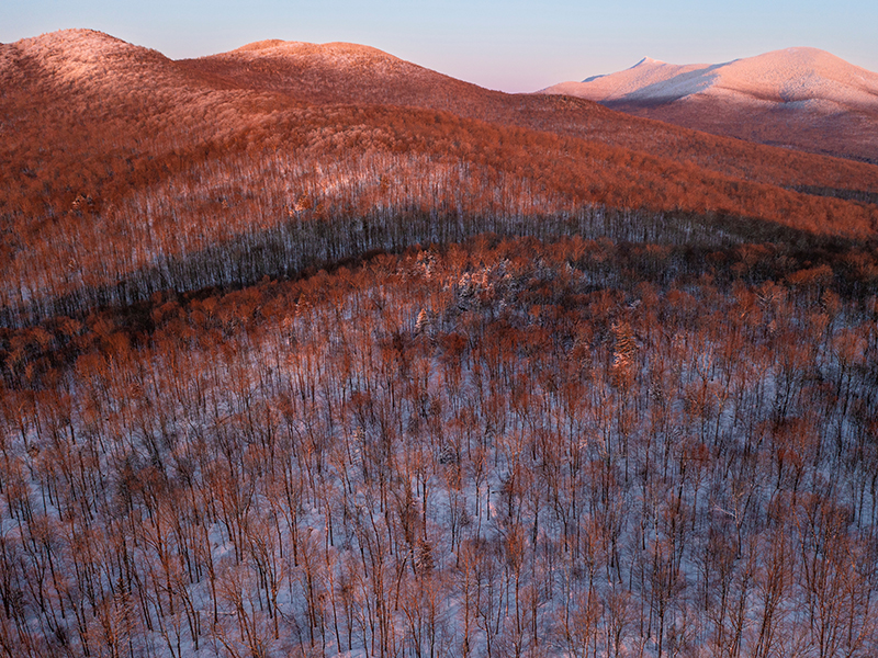 Bear's Nest Wilderness Preserve - Northeast Wilderness Trust