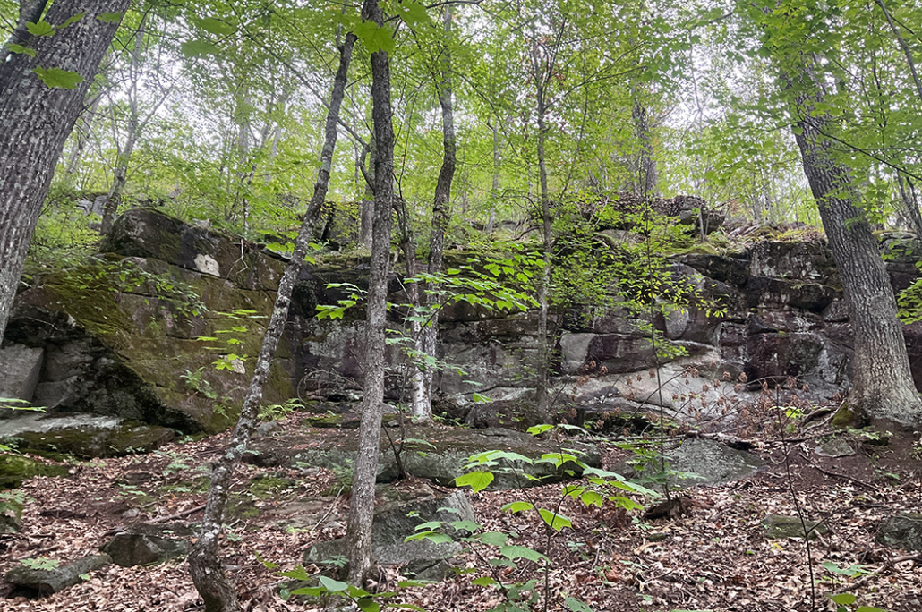 Flint Mountain Wildlands Easement - Northeast Wilderness Trust