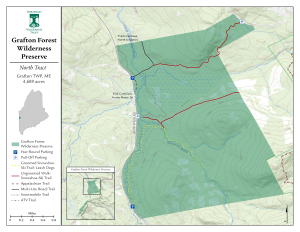 Grafton Forest Wilderness Preserve - Northeast Wilderness Trust