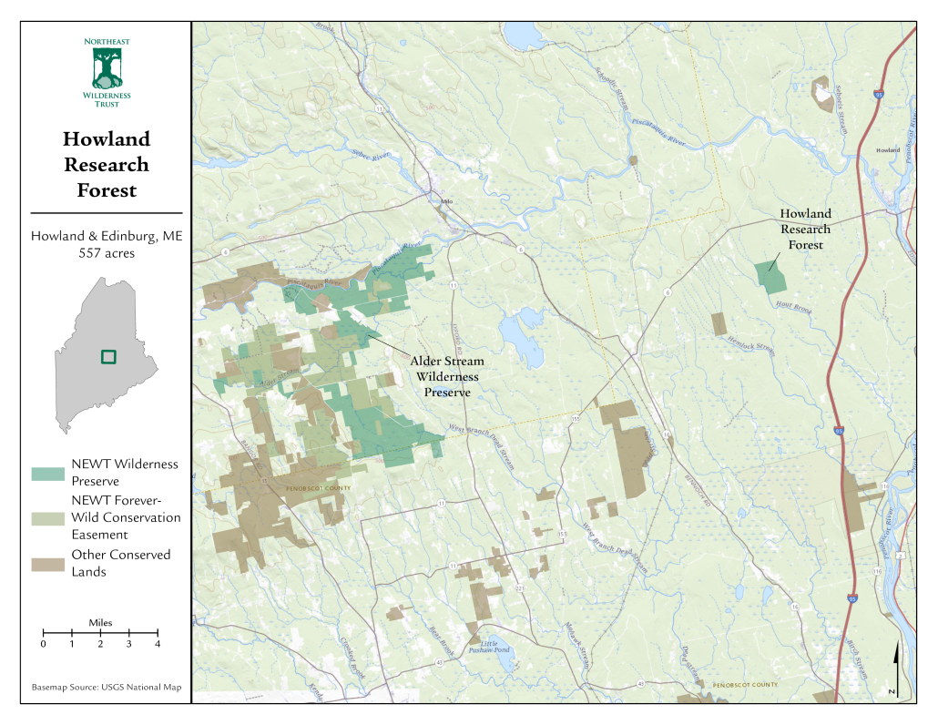 Howland Research Forest - Northeast Wilderness Trust