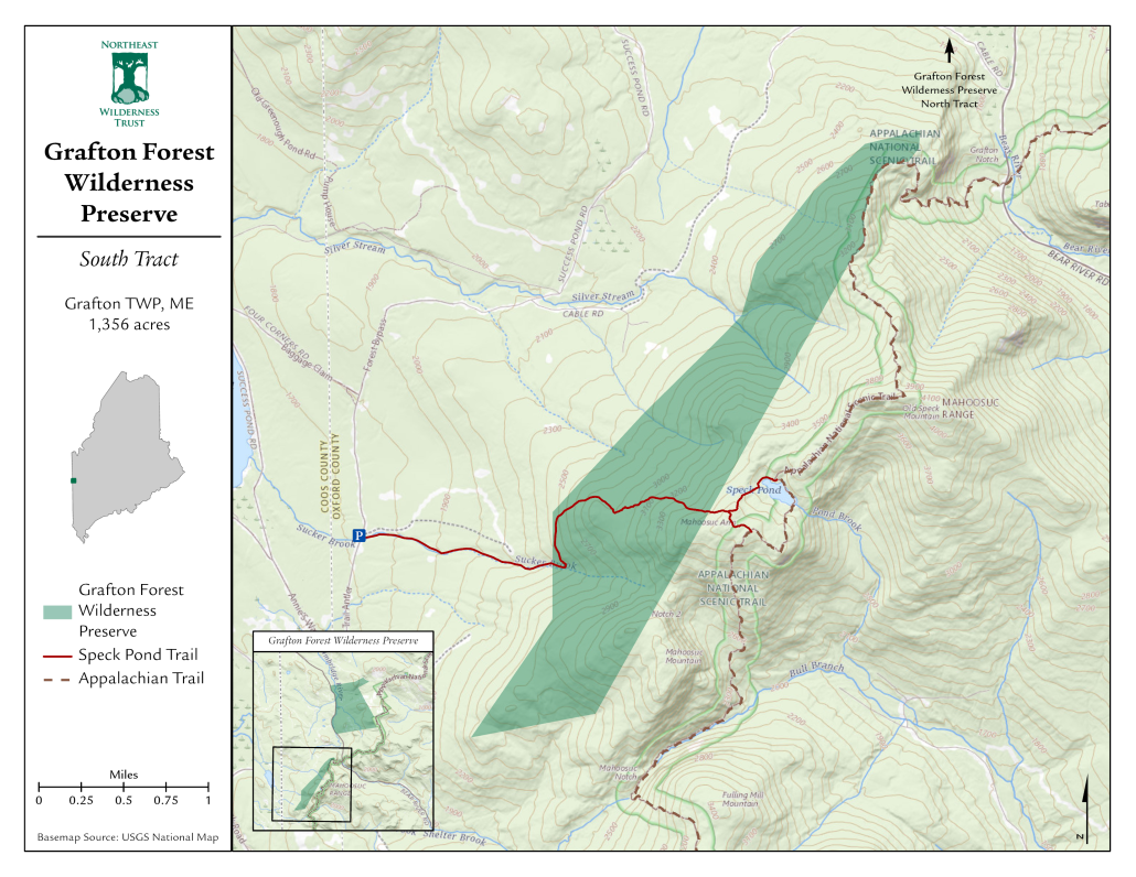 Grafton Forest Wilderness Preserve - Northeast Wilderness Trust