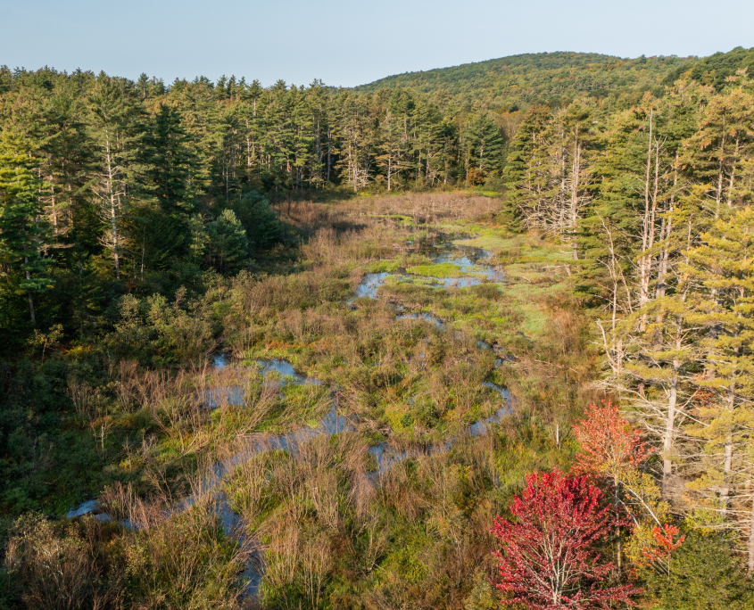 Sargent Hill Wilderness Preserve - Northeast Wilderness Trust