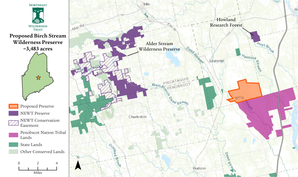 Birch Stream Wilderness Preserve - Northeast Wilderness Trust