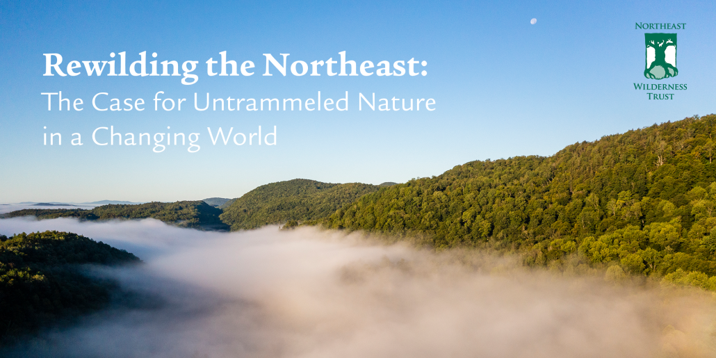 Rewilding the Northeast: The Case for Untrammeled Nature in a Changing ...