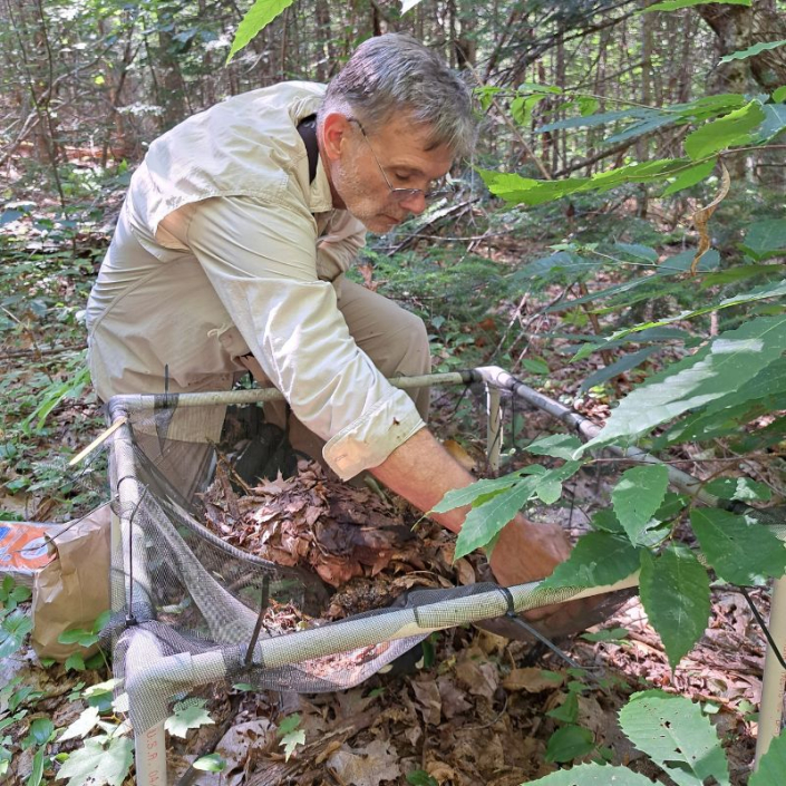 Stewardship and Science Intersect at Alder Stream Wilderness Preserve