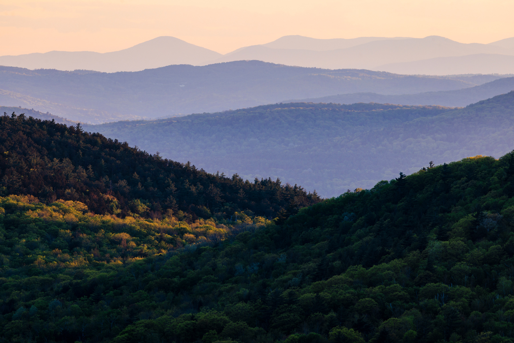 Spruce Ridge Wilderness Preserve in "The Boston Globe" - Northeast ...