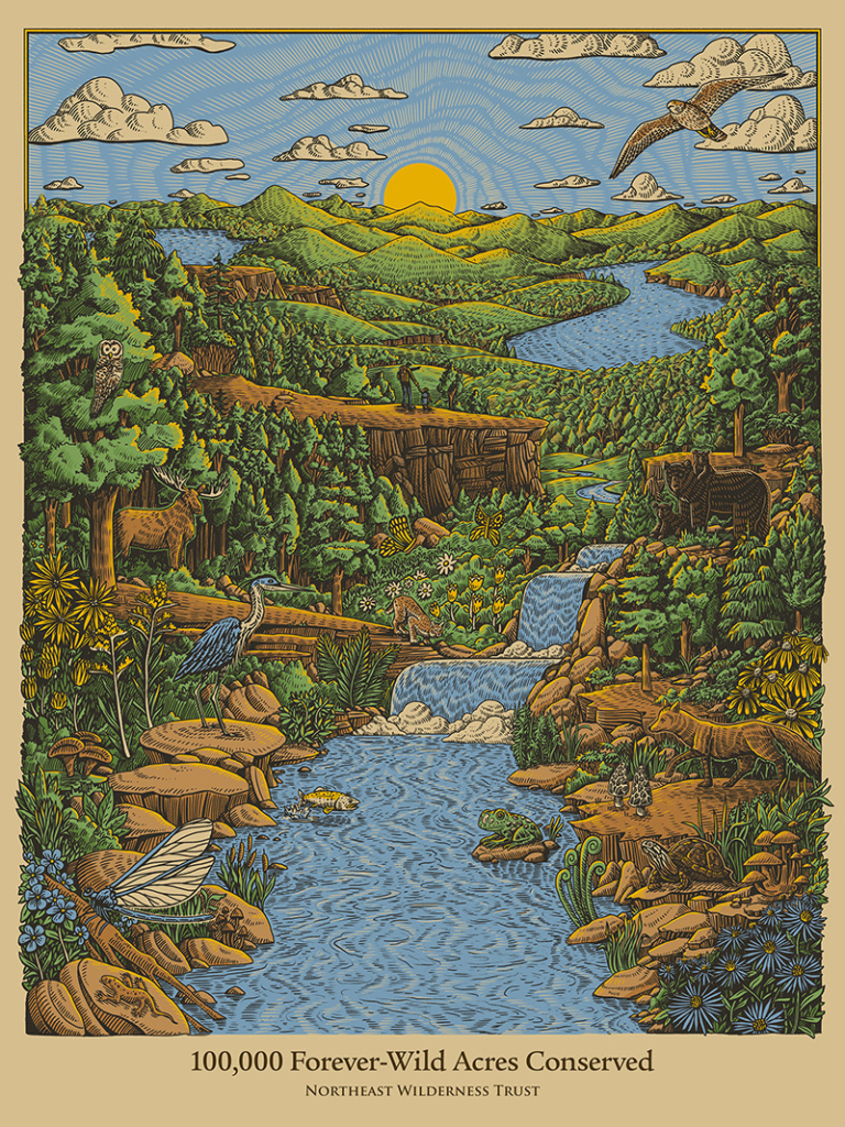 Campaign for a Wild Future - Northeast Wilderness Trust